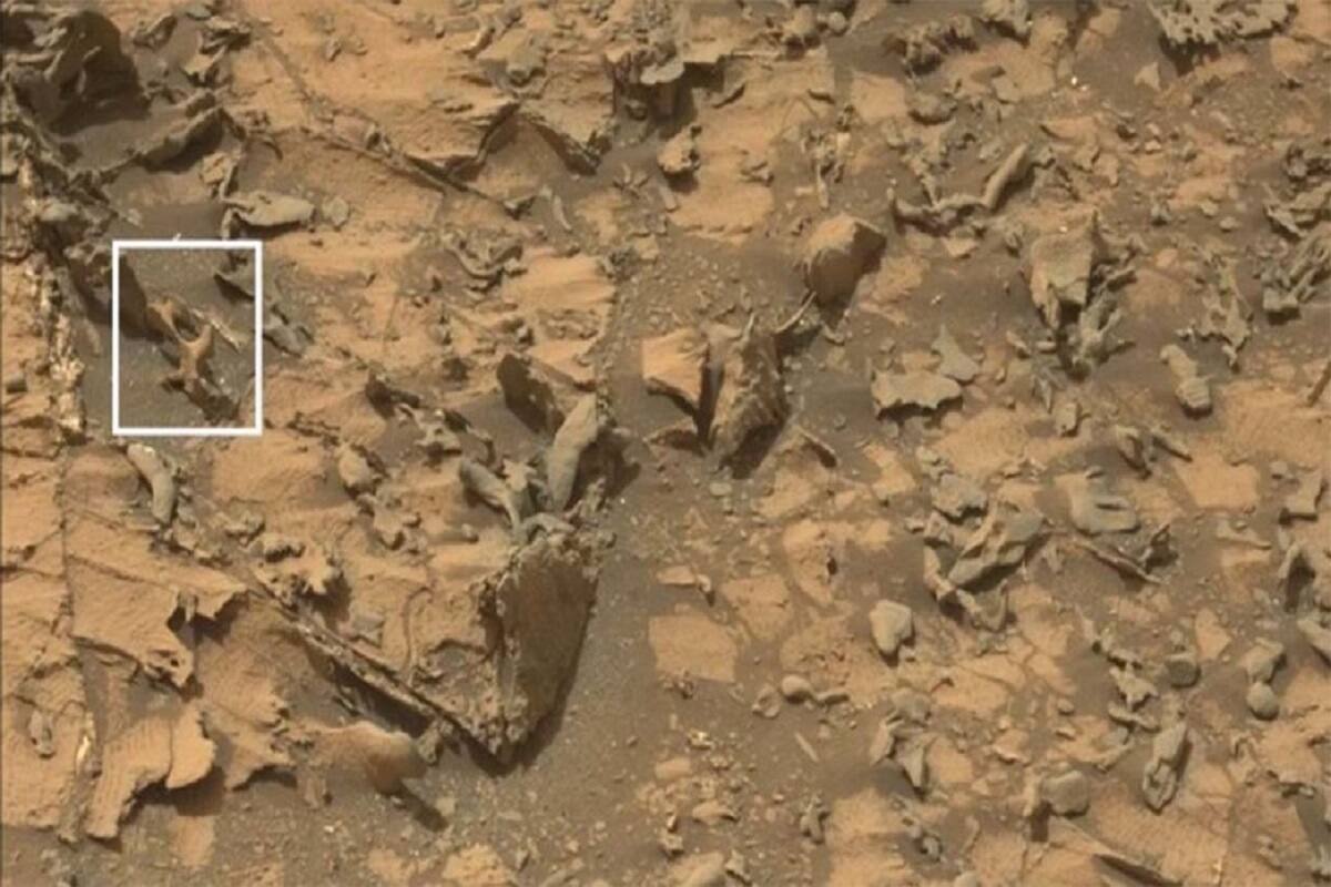 Human Bone at Mars বিশ্ব তোলপাড়, মঙ্গলে মানুষের হাড়! তবে কি...নাসার ...