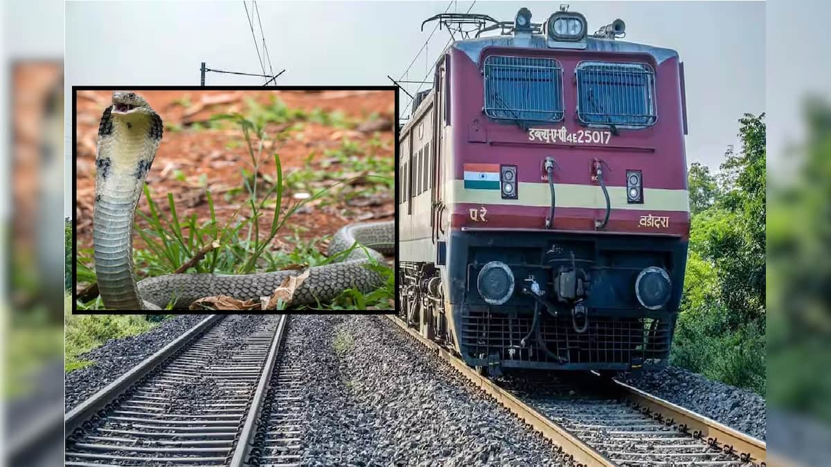 Snake in Train: হাওড়া থেকে চম্ব ল যাচ্ছিল ট্রেন, সেখানেই ধাঁইধাঁই করে ...
