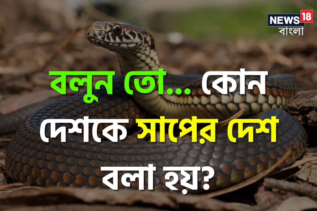 Knowledge Story: Viral Trending GK General Knowledge interview question ...