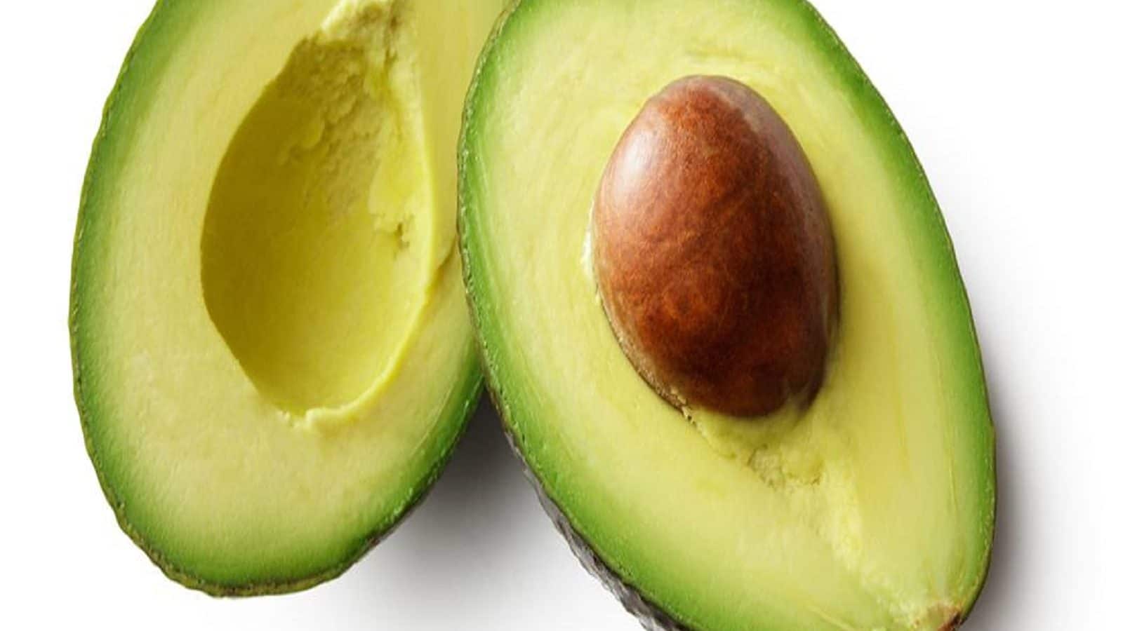 বিদেশী ফল এবার উৎপাদন হচ্ছে মালদহে|Cultivation of avocado fruit started ...