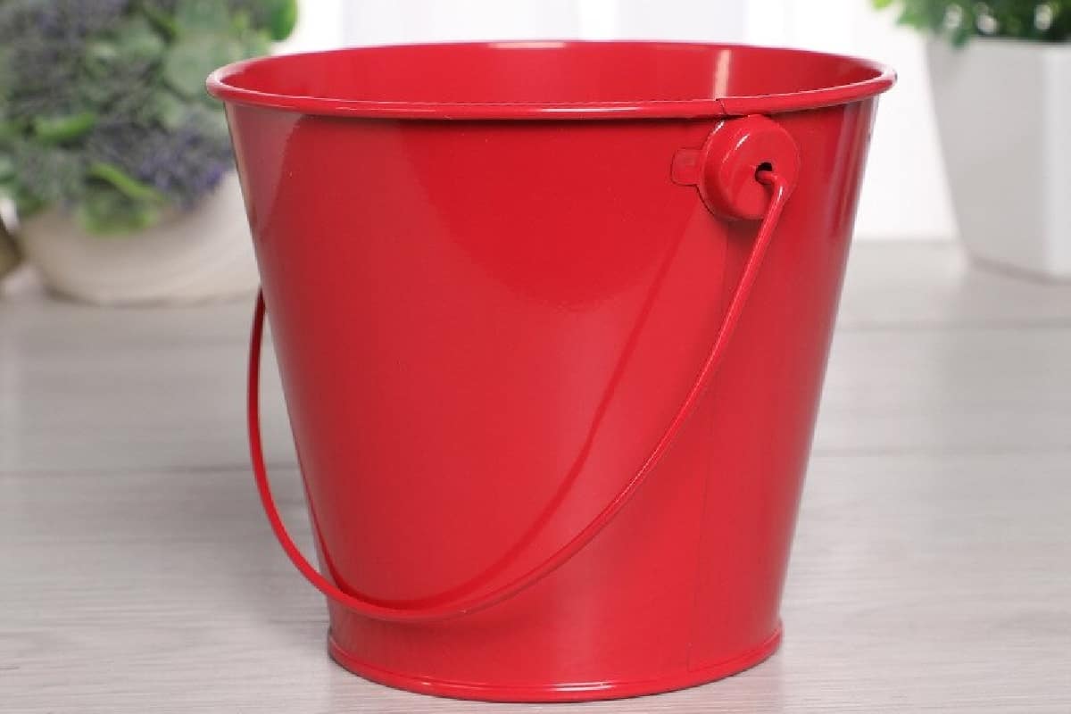 Vastu Tips For Bucket: বাথরুমে এই রঙের বালতি রেখেছেন? বড় ক্ষতি থেকে ...
