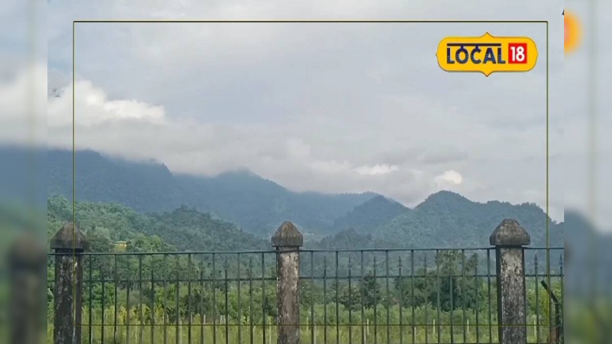 ডুয়ার্সের চামুর্চি ইকোপার্ক বন্ধ থাকায় বিপাকে পড়েছেন স্থানীয় পর্যটন ...