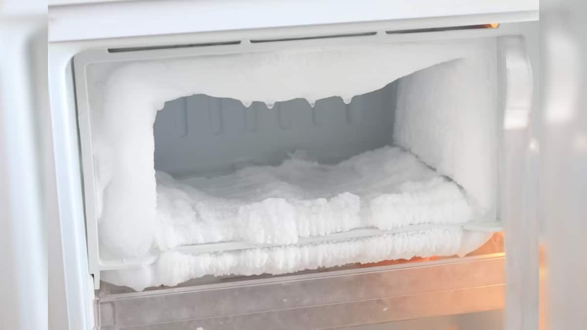 Fridge Care Tips: ডিপ ফ্রিজে অতিরিক্ত বরফ জমছে? এখনই ঠিক না করলে কিন্তু ...
