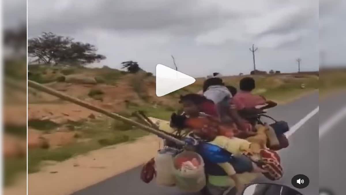 Viral Video: সাতজন মানুষ, দুটো কুকুর-ছানা ও একটি মুরগিকে নিয়ে রাস্তায় ...
