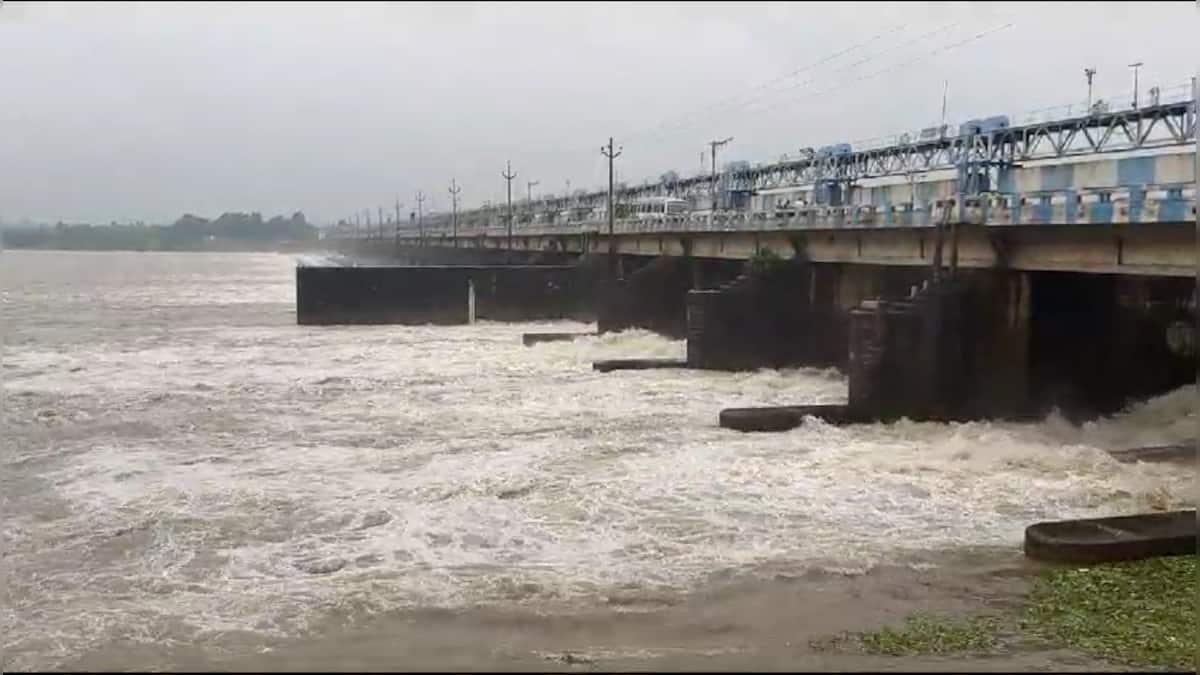 Durgapur Barrage: ভয়াল রূপ নিয়েছে দামোদর! জলাধারগুলিতে জলের গতি দেখে ...