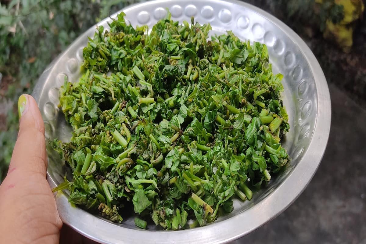 Health Care: ঢেঁকি শাক খেলেই দূর হবে ডায়াবেটিস থেকে হৃদ-রোগ! জানুন ...