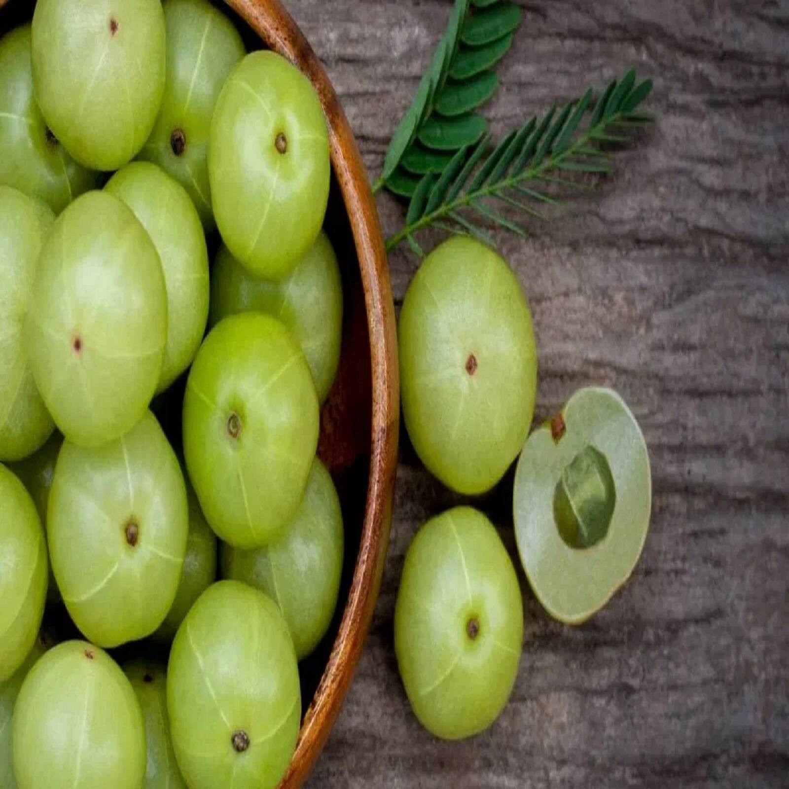 Health Benefits of Indian Gooseberry আমলকিকে স্বাস্থ্যের উপকারী বন্ধু ...