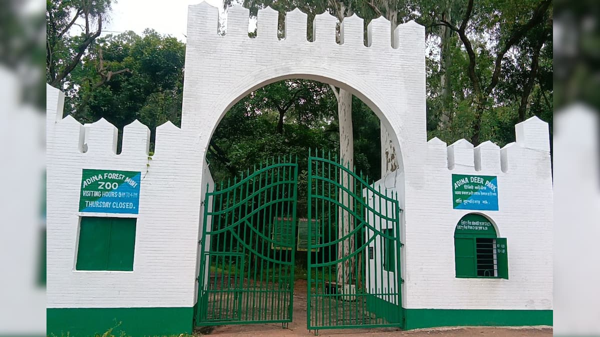 Adina Forest Malda: পুজোর মুখে নতুন চমক! আদিনা ফরেস্টে দেখা মিলবে হরেক ...