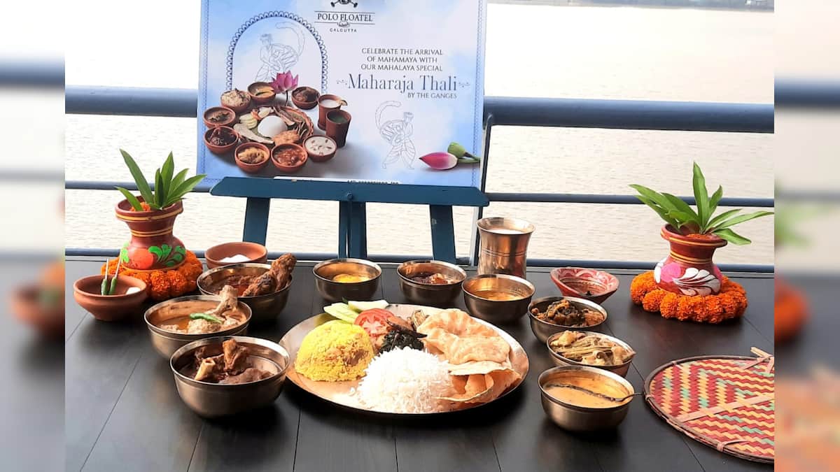 Polo Floatel: হাতে বাটা মশলার খাবার, পুজোয় এলাহি আয়োজন গঙ্গাবক্ষের ...
