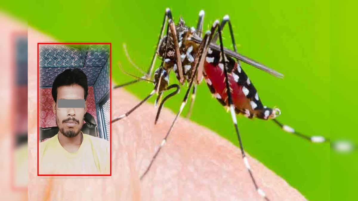 | Dengue Alert: One person died due to dengue in Murshidabad, dengue is ...