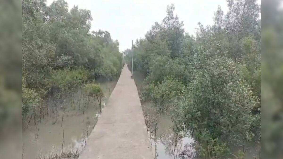 জেটিঘাটের রাস্তায় আলো না থাকায় চলাচল করতে সমস্যায় পড়ছে পাথরপ্রতিমার ...