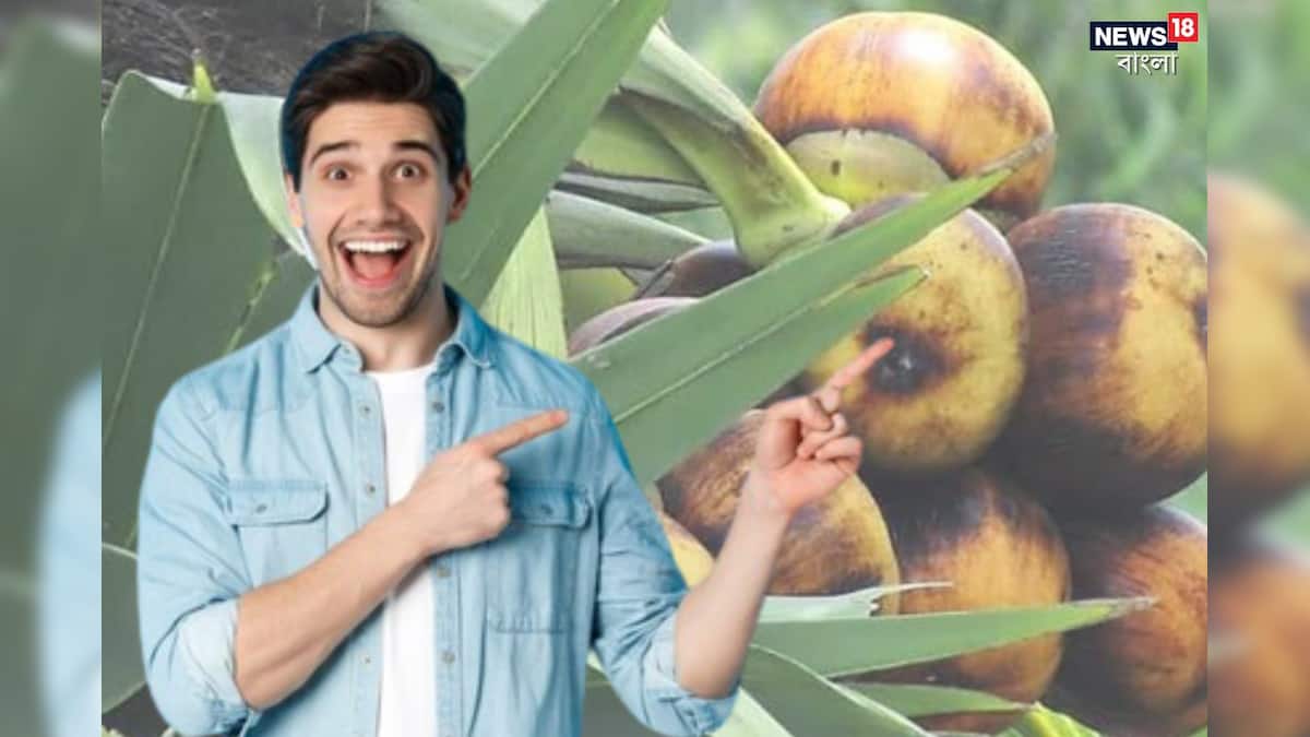 Healthy Fruit: বছরে একবারই পাওয়া যায় এই ফল, নিমেষে দূর করে শরীরের ...