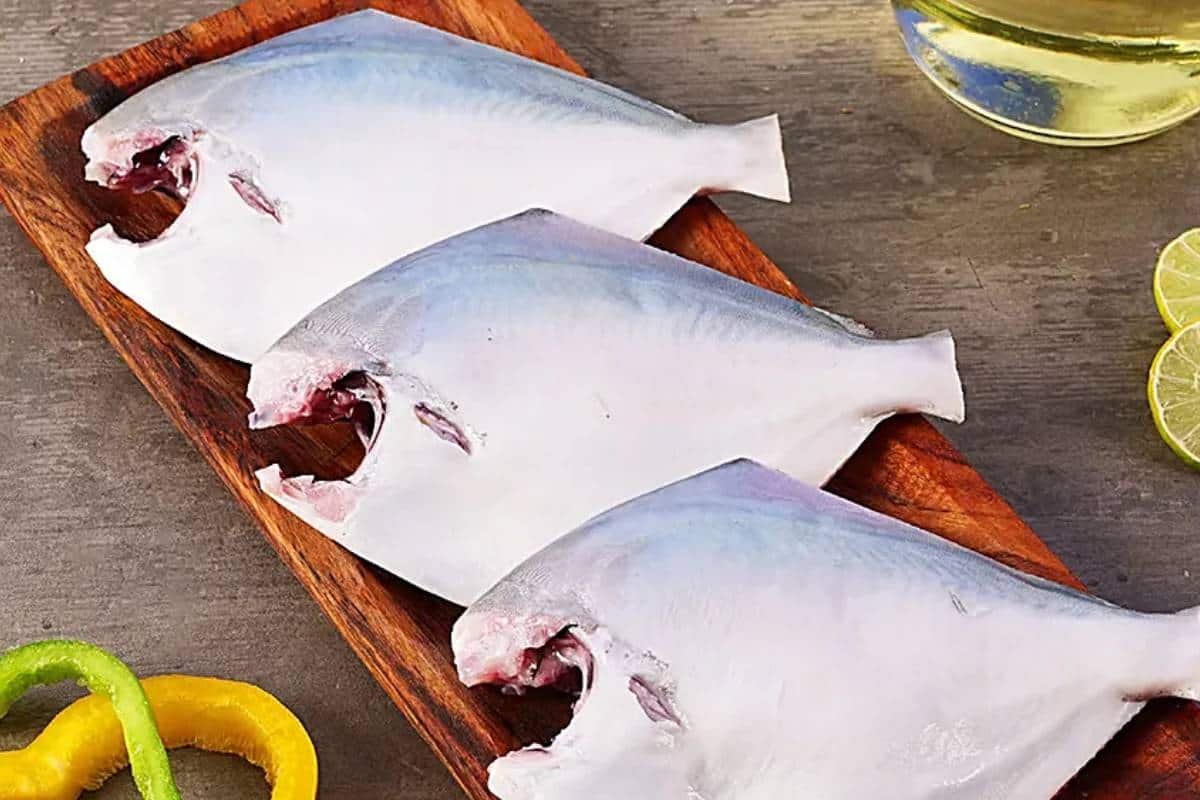 Benefits of Pomfret Fish: পমফ্রেট দেখে জিভে জল! শরীরে এই মাছ কী প্রভাব ...
