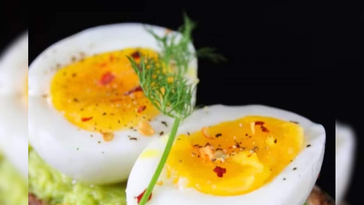 Egg Yolk: ডিমের কুসুম খাবেন? নাকি কোলেস্টেরলের ভয়ে ফেলেই দেবেন? জানুন ...