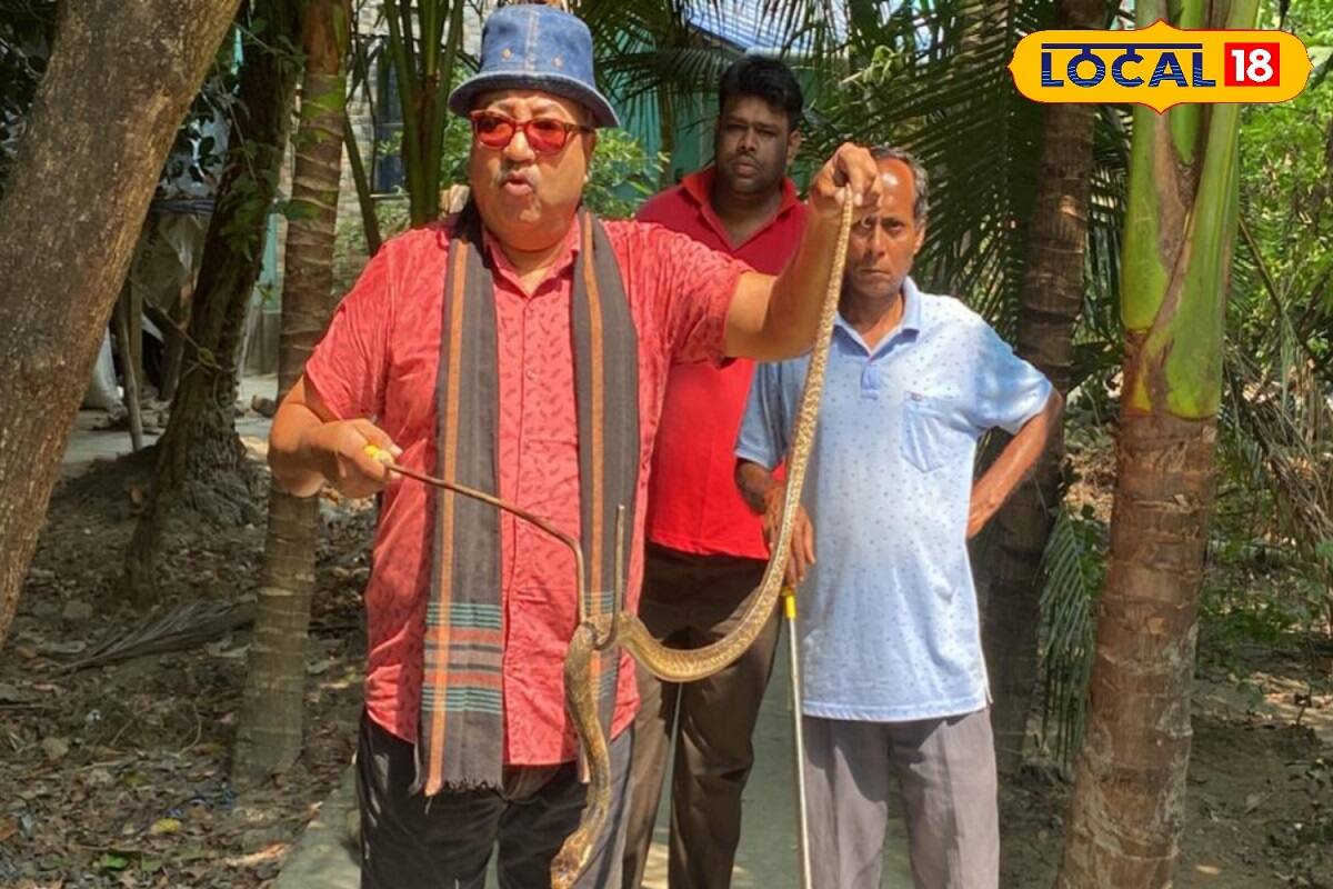 Snake Rescue Tips: হঠাৎ বাড়িতে বিষাক্ত সাপ ঢুকলে কী করবেন? জানুন ...