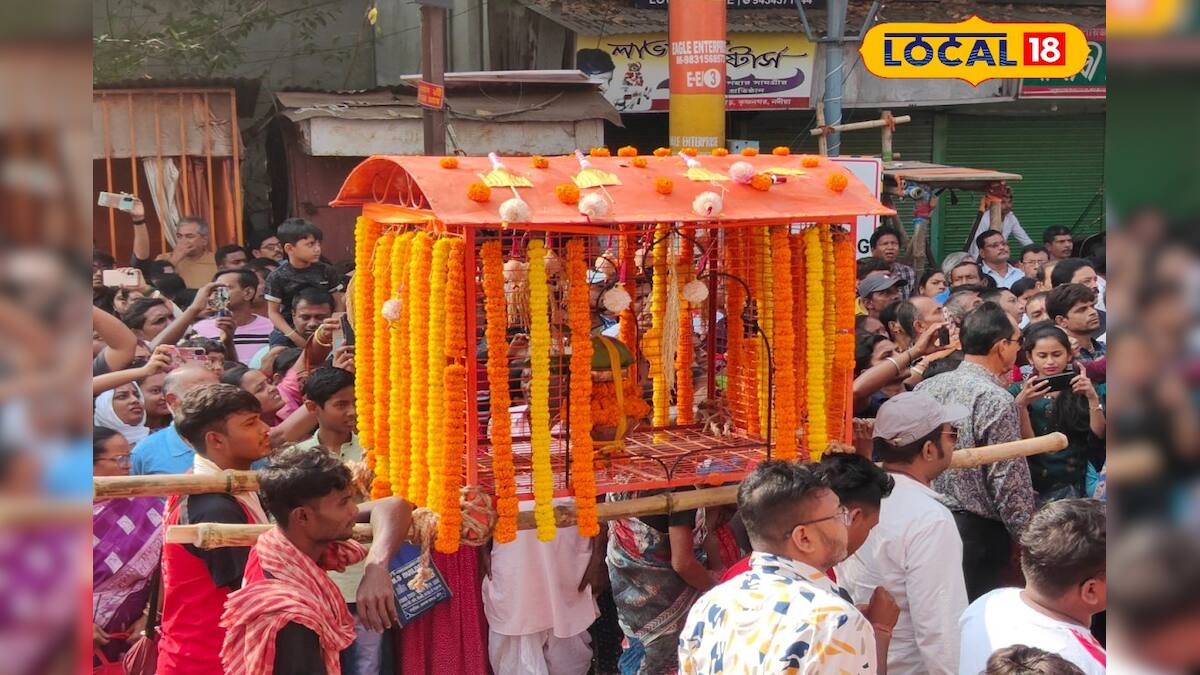 immersion rally of devi ghat in krishnanagar nadia | জগদ্ধাত্রী পুজোর ...