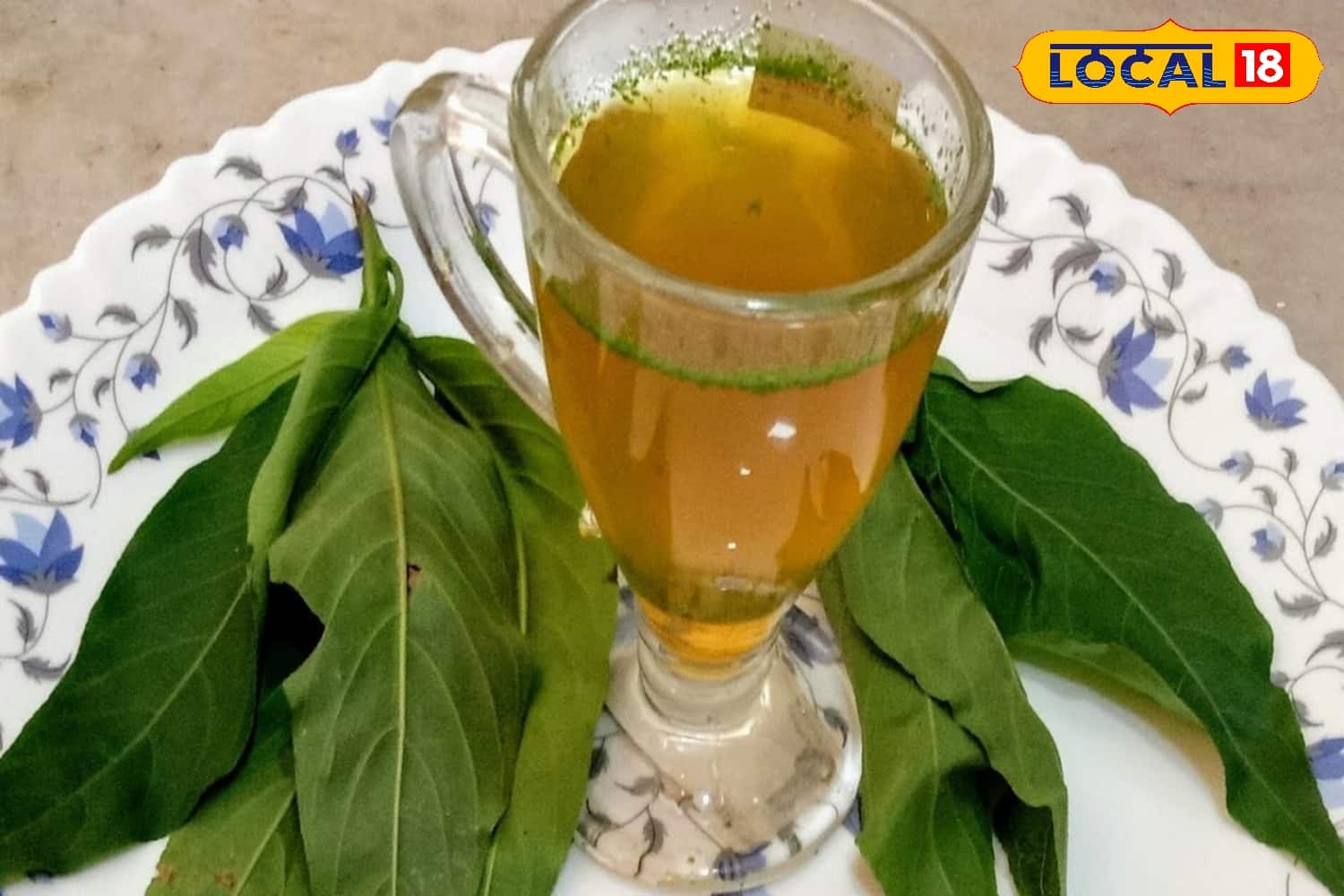 Health Benefits of Vasaka Leaves এটা কোন পাতা বলুন তো? ঠান্ডায় বাতের ...