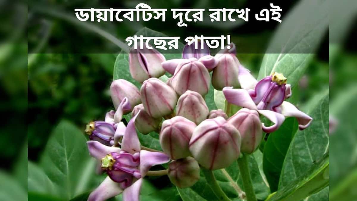 Diabetes Control Tips: অলিগলিতে বেড়ে ওঠে, ডায়াবেটিস দূরে রাখতে পারে ...