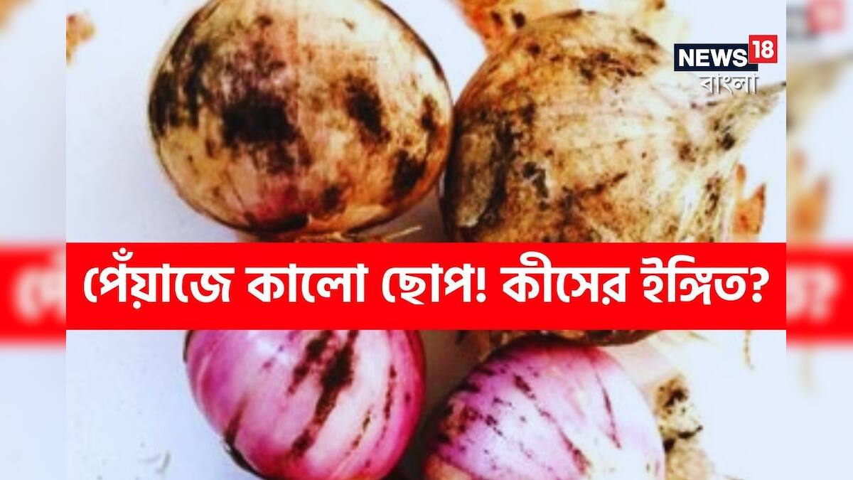 Can You Eat Onion with Black Mold: পেঁয়াজে কালো ছোপ ! এটি খাওয়া ...