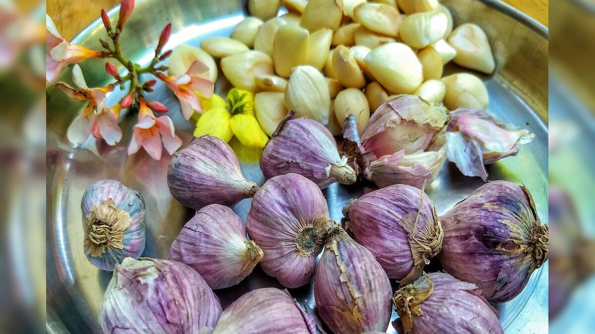 Garlic Health Benefits ডায়াবেটিস-কোলেস্টেরল থেকে বাঁচতে এই এক কোয়া ...
