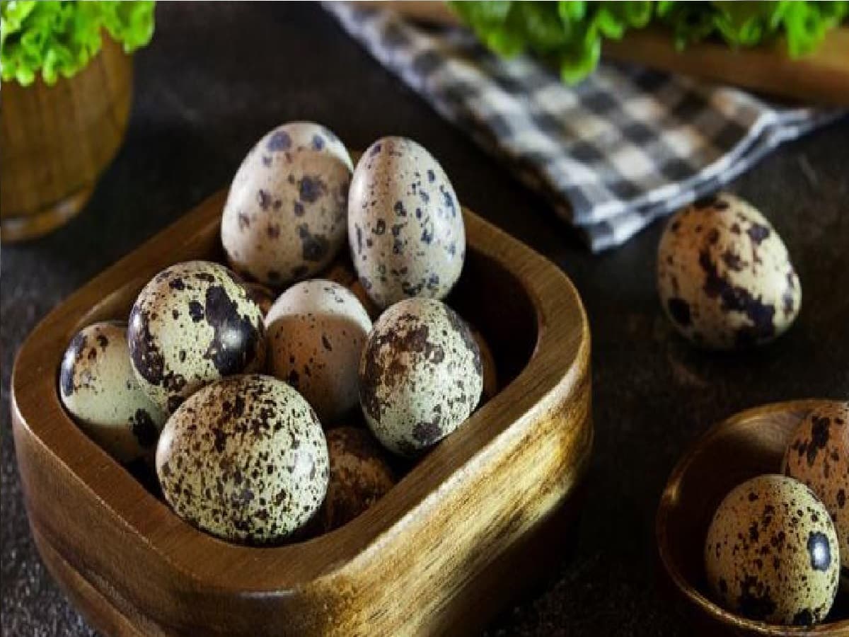 Egg | সাইজে ছোট হলেও বহু রোগের যম! এই ডিম খেলে কমে অ্যালার্জি! জানুন কীভাবে খাবেন... | Health ...