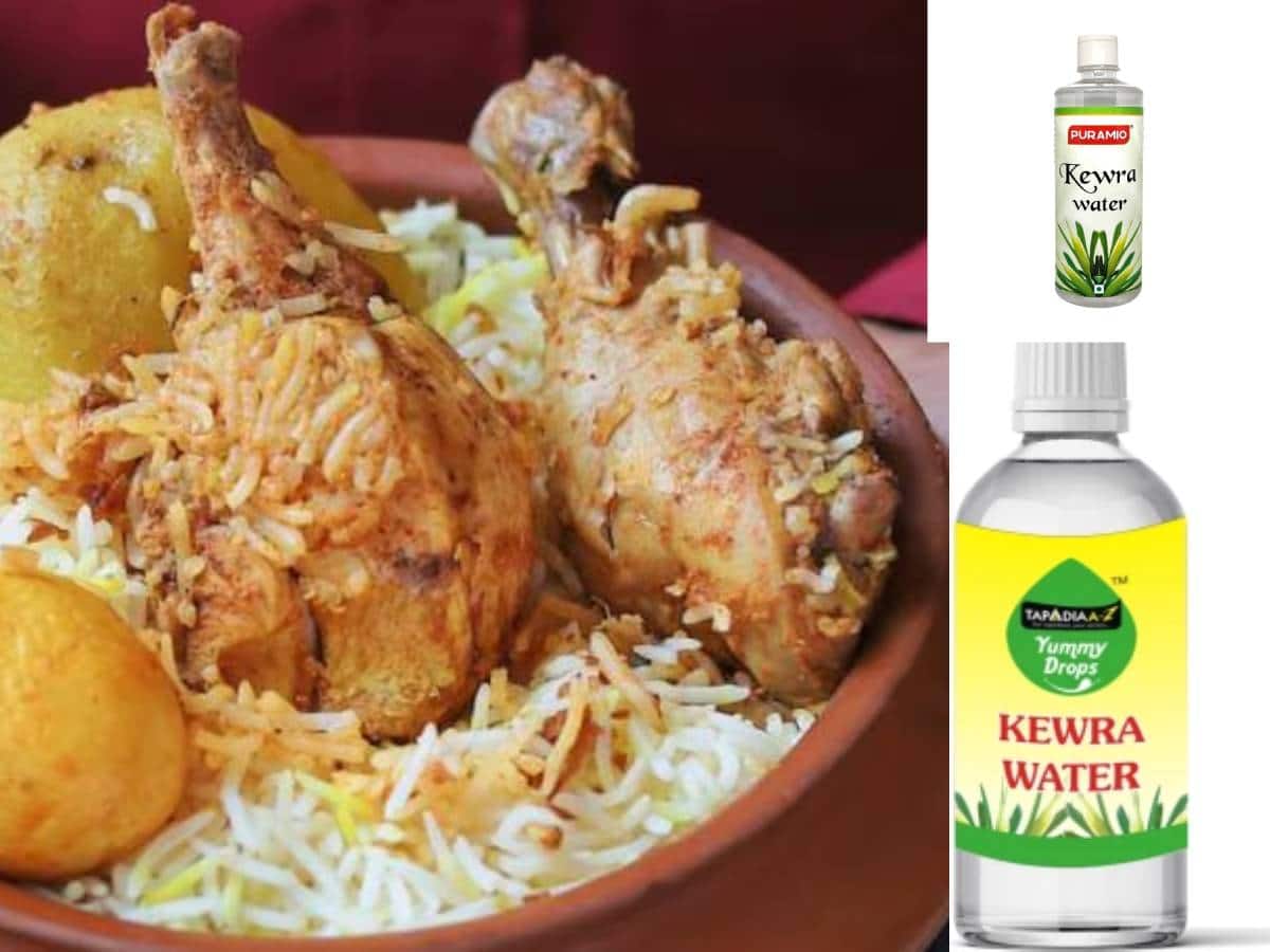 Kewra Water: বিরিয়ানিতে অপরিহার্য! কিন্তু কোথা থেকে কীভাবে তৈরি হয় ...