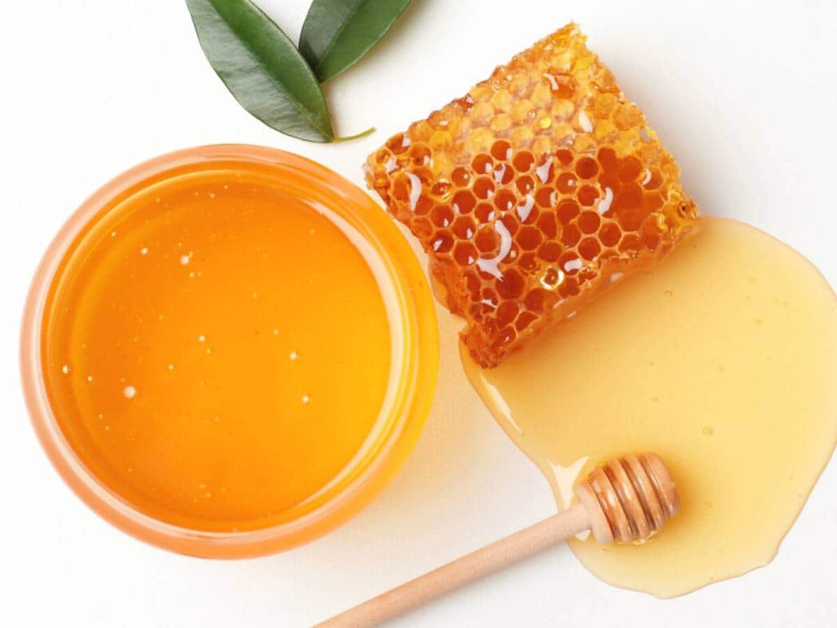 Benefits of Honey: শীতে শুধু একটুখানি মধু! শরীরের কী কী উপকার করে, রইল ...