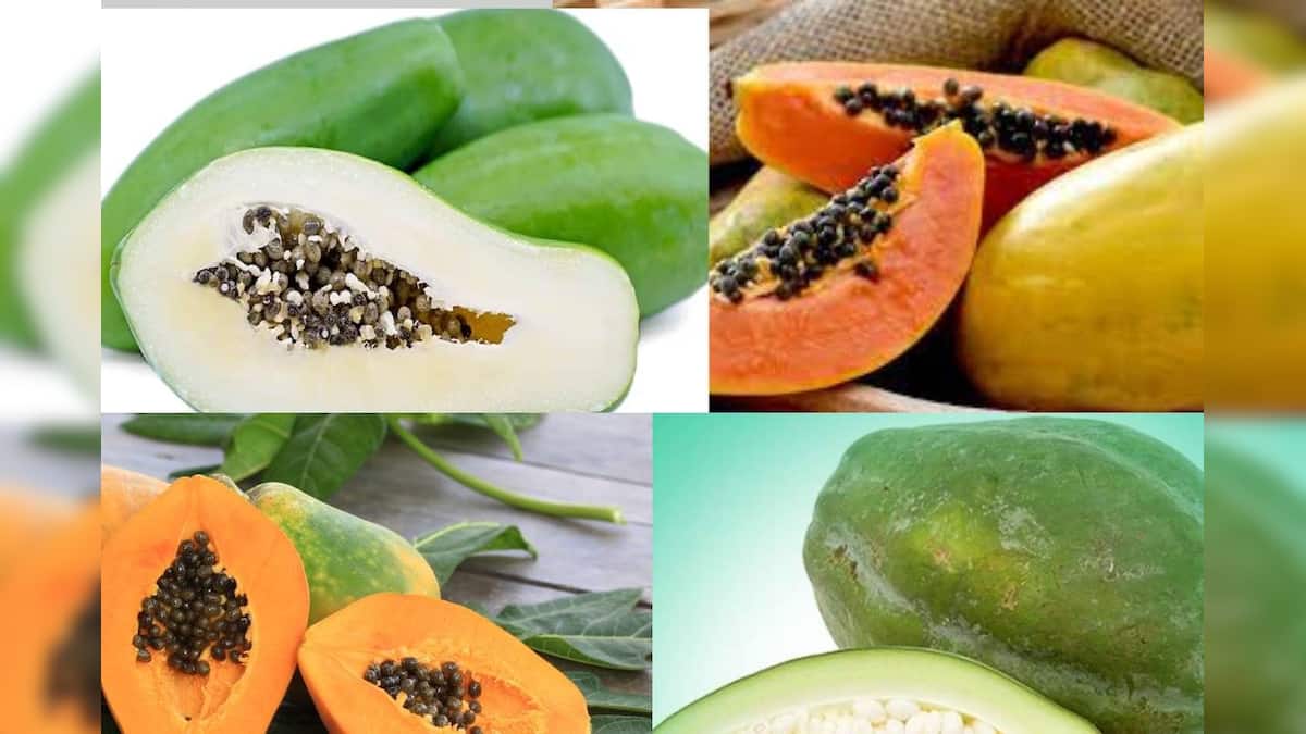 Green Papaya vs Ripe Papaya: কাঁচা নাকি পাকা? কোন পেঁপে খেলে বেশি উপকার ...