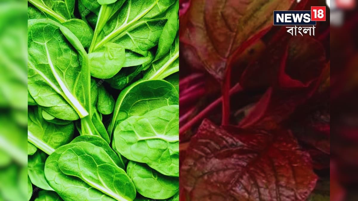 Red Amaranth (Laal Shaag) Vs Spinach (Palang Shaag): লাল শাক না পালং ...