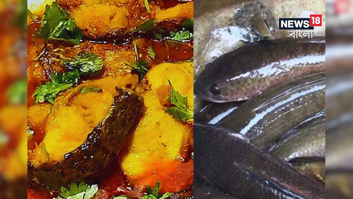 Snakehead Murrel (Shol) Side Effects: শোল মাছ ভালোবাসেন? খেলে শরীরে কী ...