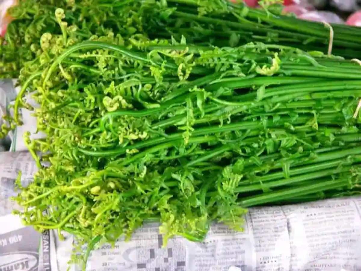 Fiddlehead Ferns (Dheki Shak) Benefits: মুঠো মুঠো ওষুধ ভুলে যান ...