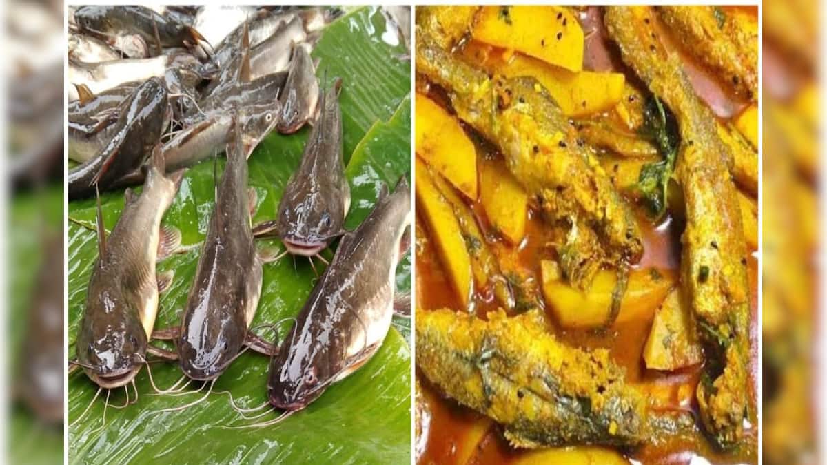 Batasio Fish Tangra Side Effects: ট্যাংরা মাছ খান নাকি? খেলে শরীরে কী ...