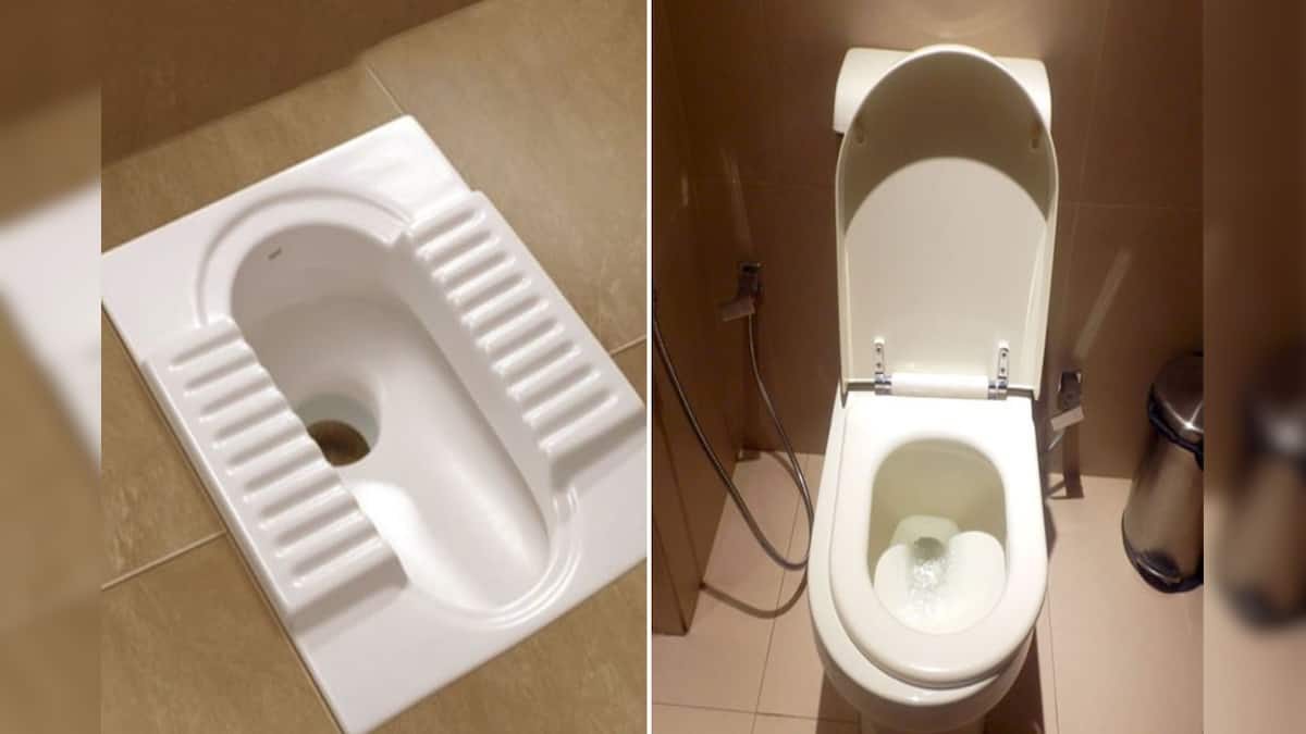 Indian Vs Western Toilet: ওয়েস্টার্ন না ইন্ডিয়ান...? কমোড না দেশি ...