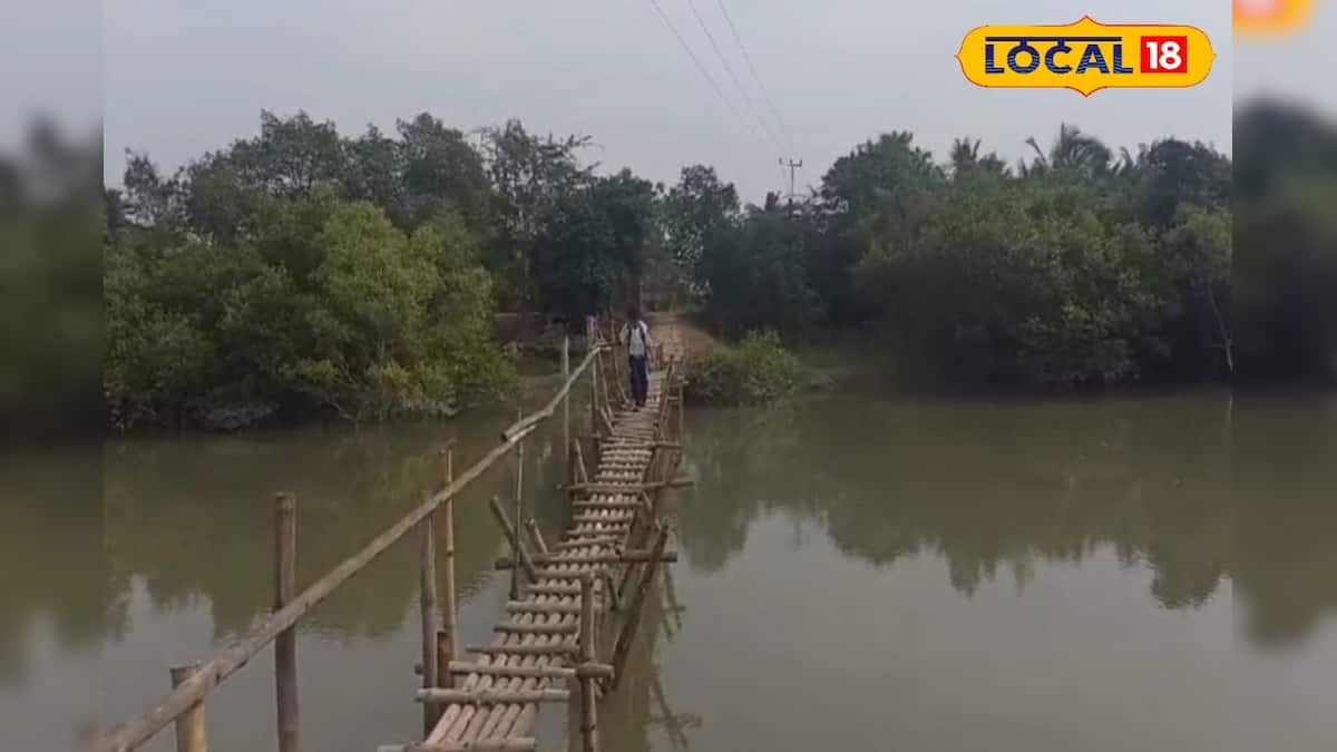 গ্রামের ঐতিহ্য বাঁশের সেতু! প্রতিবার নিজেরাই সারায় নামখানা দুই গ্রামের ...