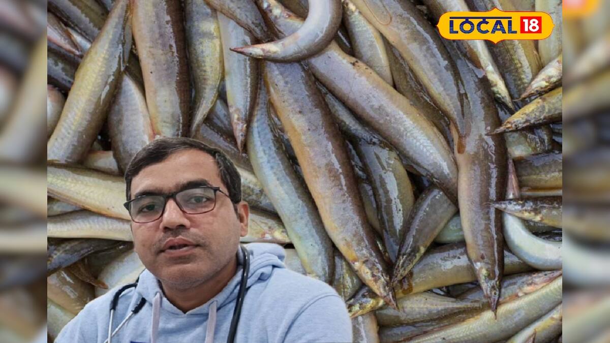 Bam Fish Health Benefit: Bam Fish Health Benefit: পাঁকাল মাছের নাম ...