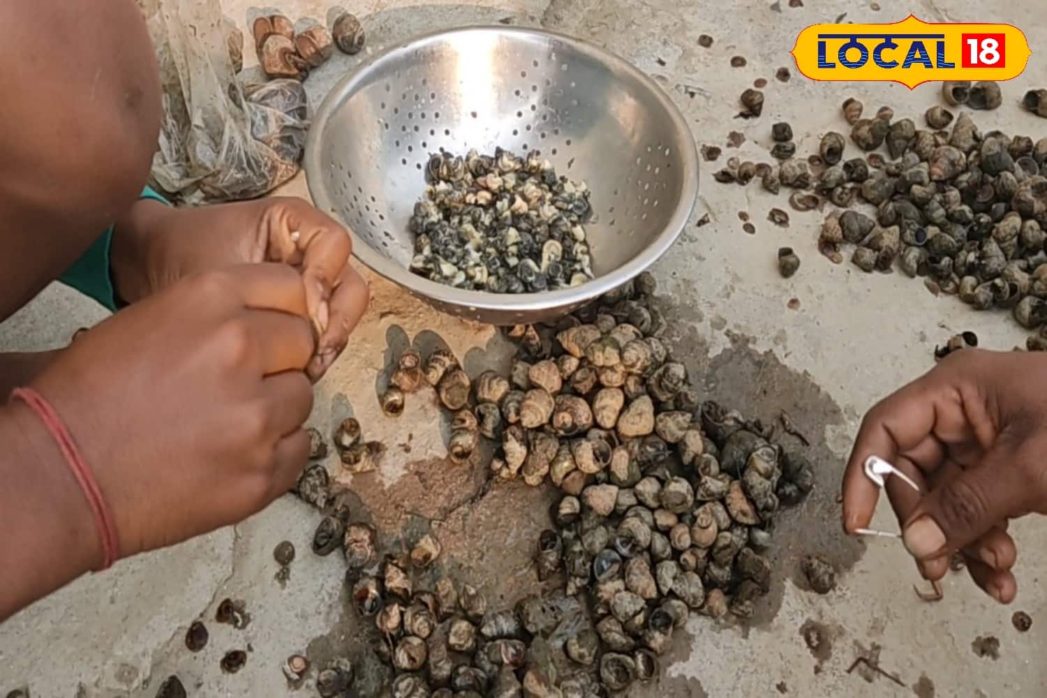 Geri Googly Curry Recipe: মাংসকেও হার মানাবে! অল্প উপকরণেই বানিয়ে ...