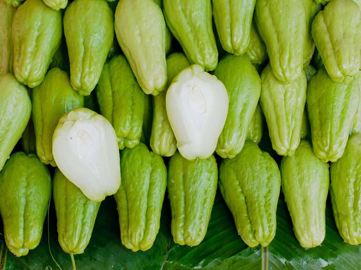 Health Benefits of Squash এই সবজিটি চেনেন? খান কখনও? গ্যাস-বদহজমের ...