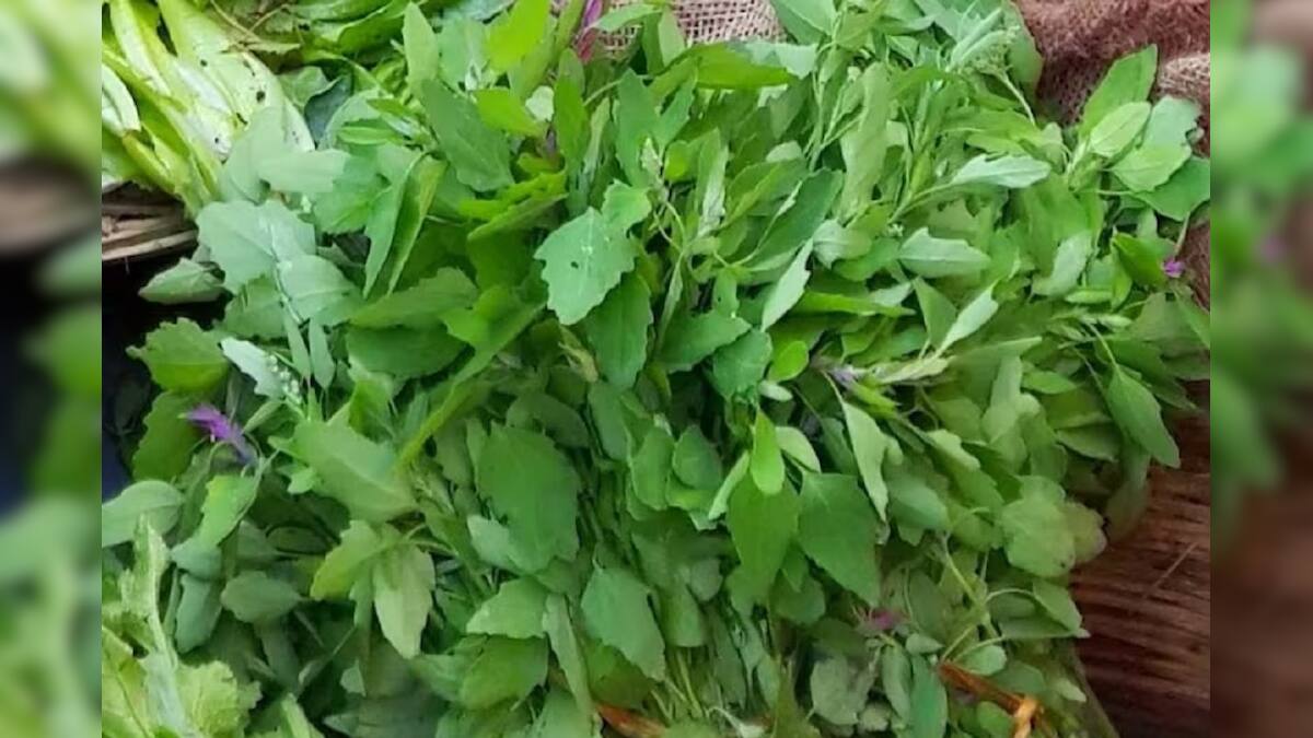 Bathua Saag Benefits অযত্নে মাঠে-ঘাটে বেড়ে ওঠা 'এই' শাক ডায়াবেটিসের ...