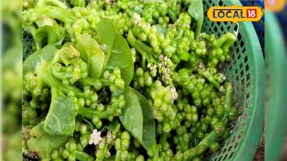 Pui Sak: পুঁই শাককে জাতের খাবার ভাবেন না! তার আবার বীজ, গুণ জানলে ...