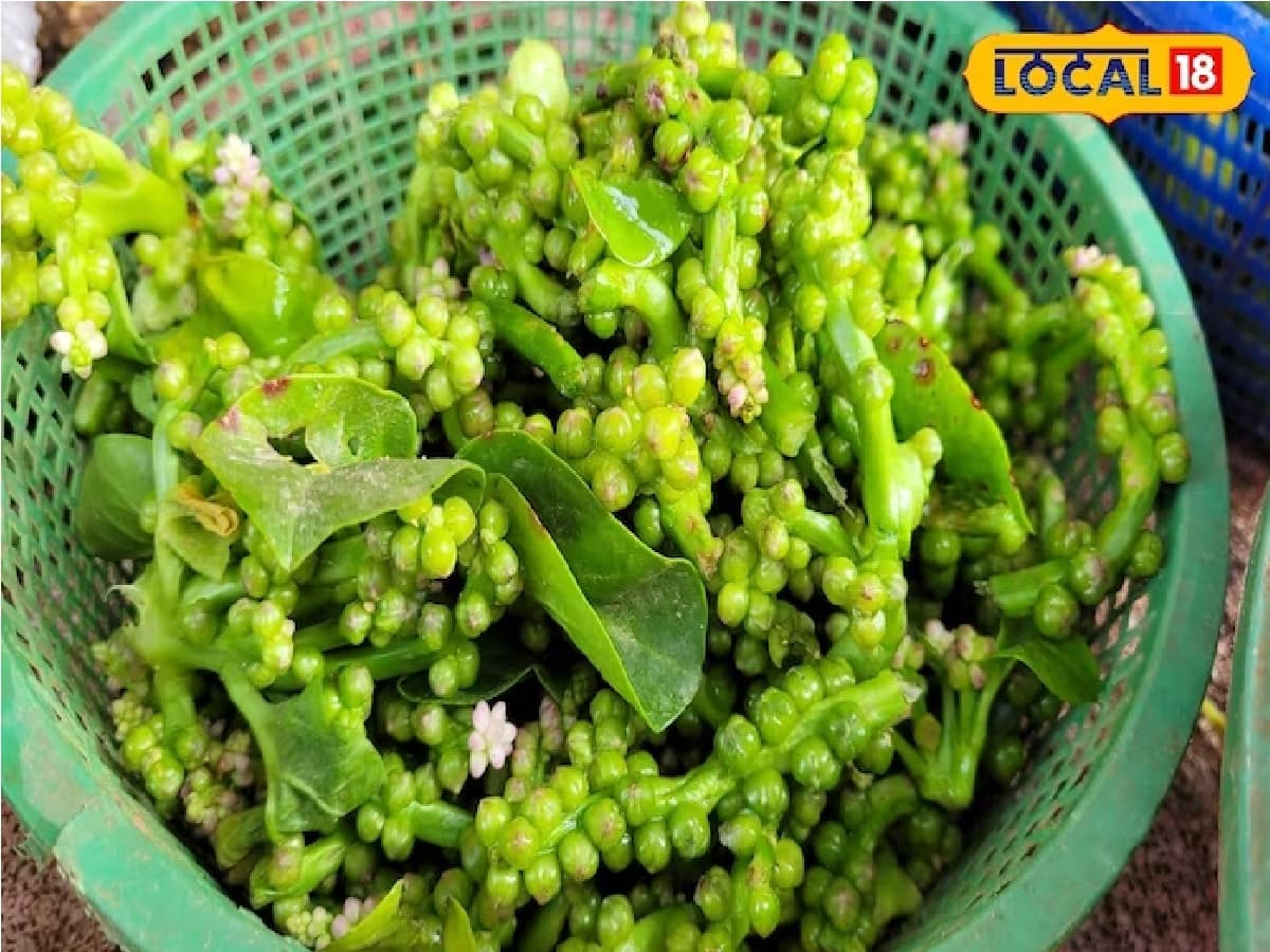 Pui Sak: পুঁই শাককে জাতের খাবার ভাবেন না! তার আবার বীজ, গুণ জানলে ...