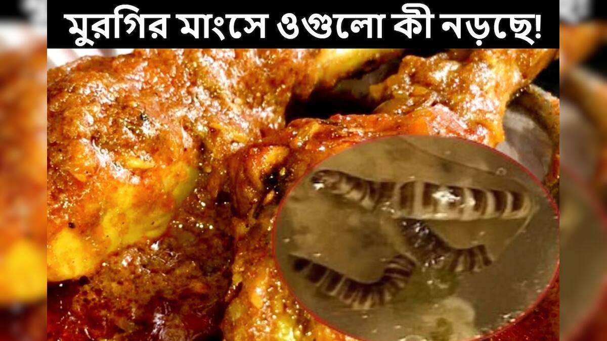 Viral News, worms in chicken, restaurant, Chicken dish, chicken viral, Viral: মুরগির মাংসের ...