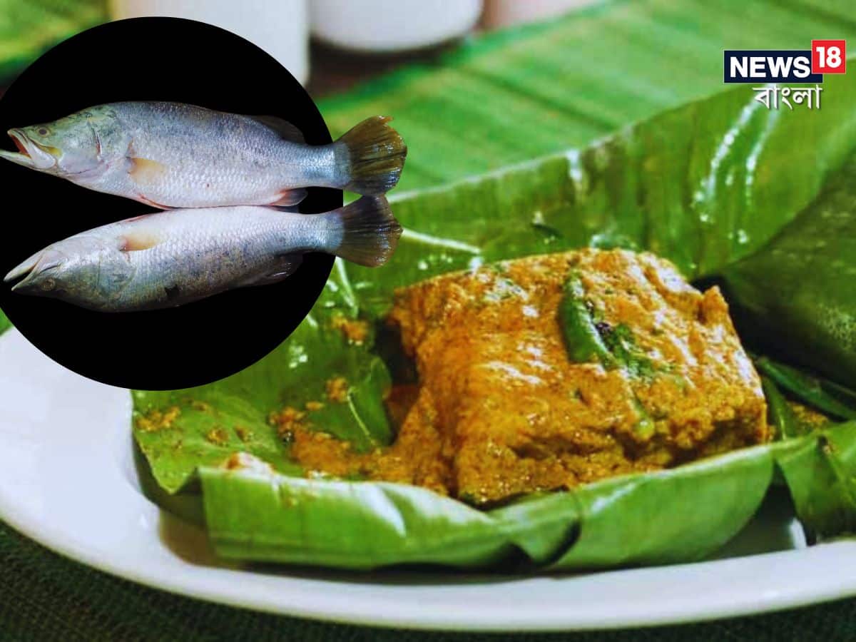Barramundi Bhetki Fish Side Effects: ভেটকি ভালোবাসেন? কিন্তু এই মাছ ...