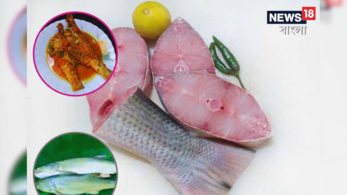 Indian Salmon Gurjali Fish Effects: দুর্দান্ত সুস্বাদু...! 'এই' মাছ ...