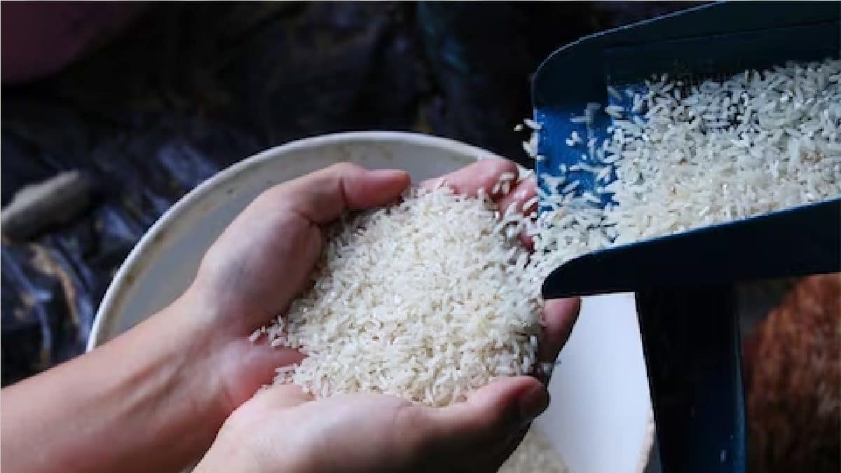 Government to sell bharat rice at 25 rupees per kg, ২৫ টাকা কেজি দরে ...