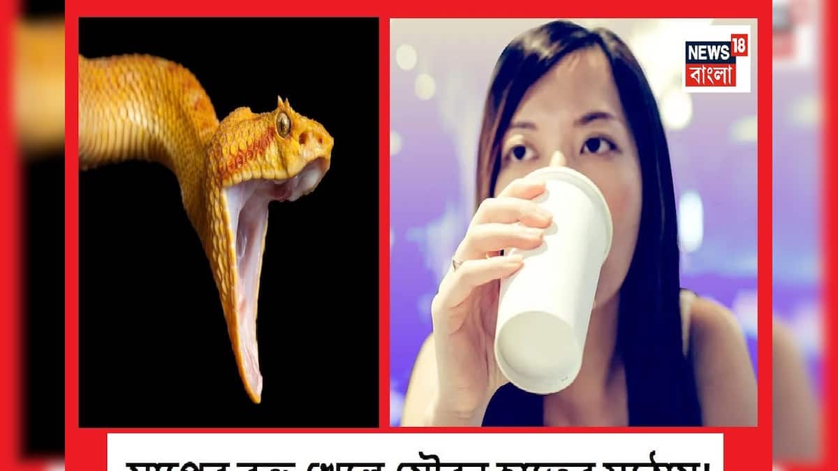 Snake Blood: সাপ শব্দটা শুনলেই শিউড়ে ওঠেন, সেই সাপের রক্তই খেয়ে নেয় ...