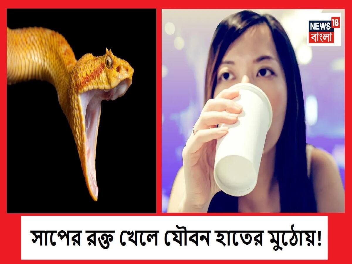 Snake Blood: সাপ শব্দটা শুনলেই শিউড়ে ওঠেন, সেই সাপের রক্তই খেয়ে নেয় ...