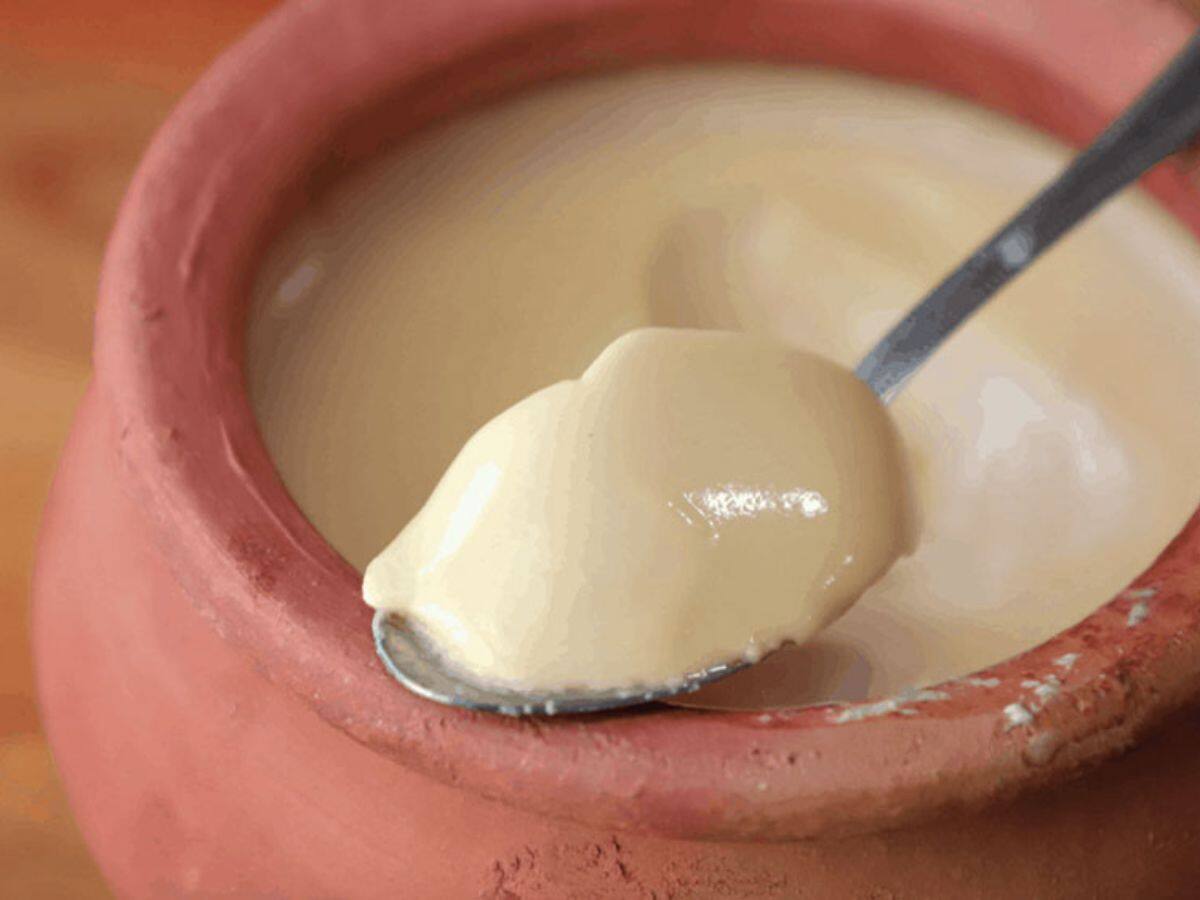 Curd: কিছুতেই দোকানের মতো বসছে না! ঠান্ডাতেও বাড়িতেই হবে থকথকে দই, সহজ ...