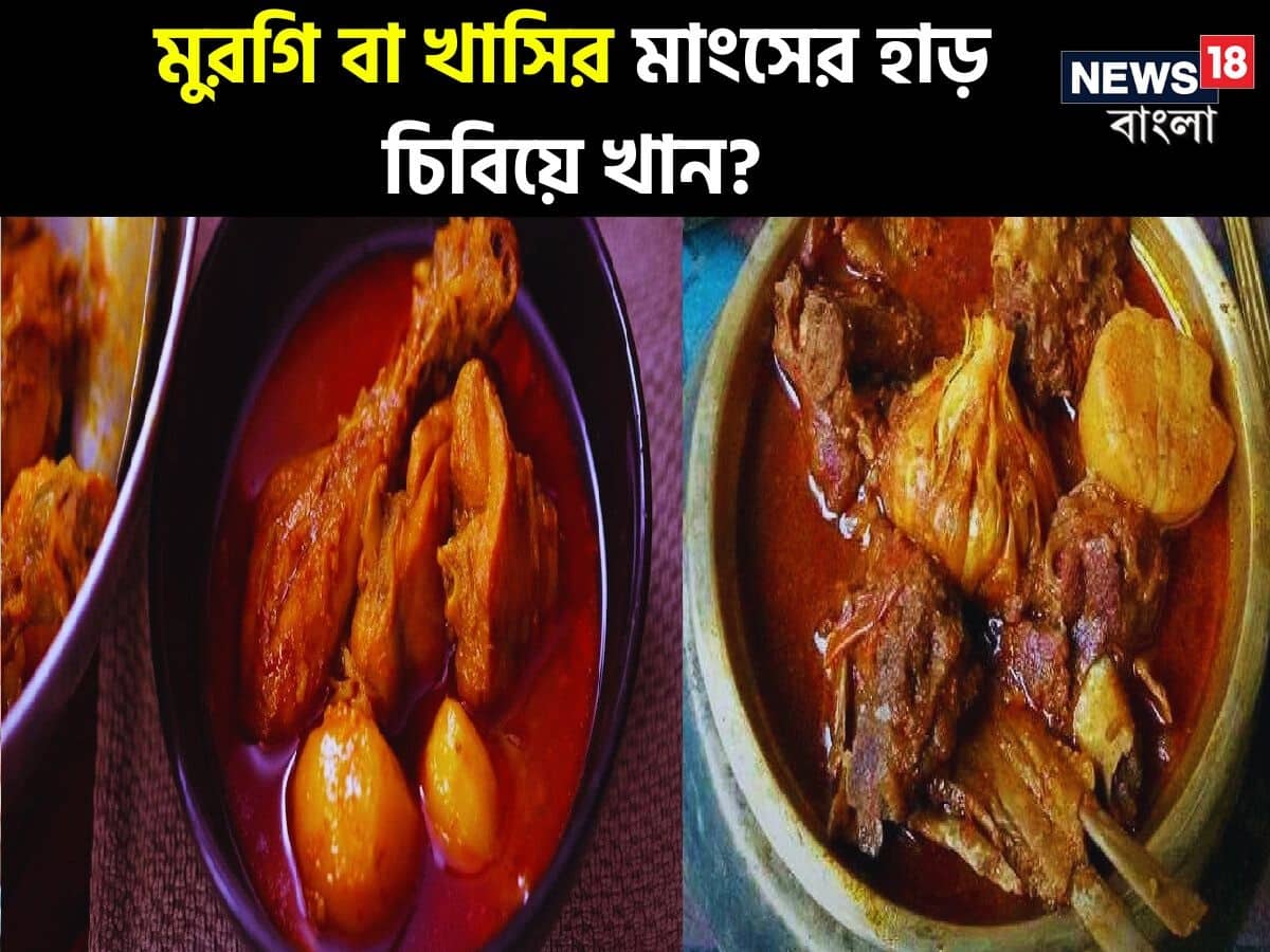 Chicken Mutton bones chewing | মুরগি বা খাসির মাংসের হাড় চিবোতে পছন্দ ...