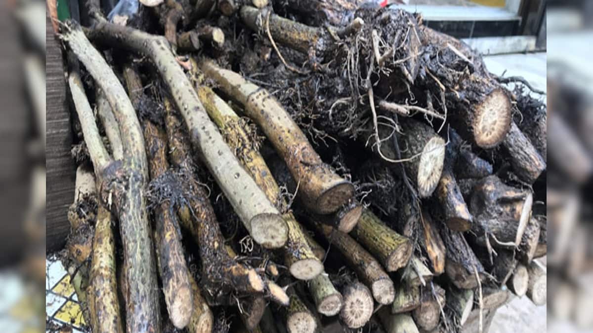 Chui Jhal Health Benefits আগাছার মতো চেহারা, কিন্তু শরীরের গিটে গিটে ...