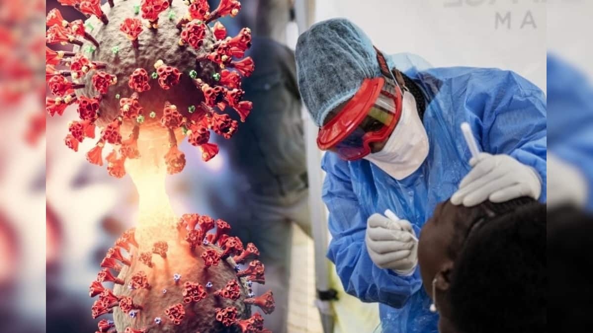 know about disease X virus that may come after corona, করোনার পর হানা ...